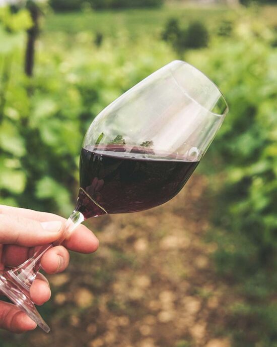 Tastings - Oxenberry Farm